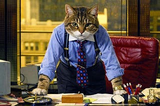 bad cattitude | el gato malo | Substack
