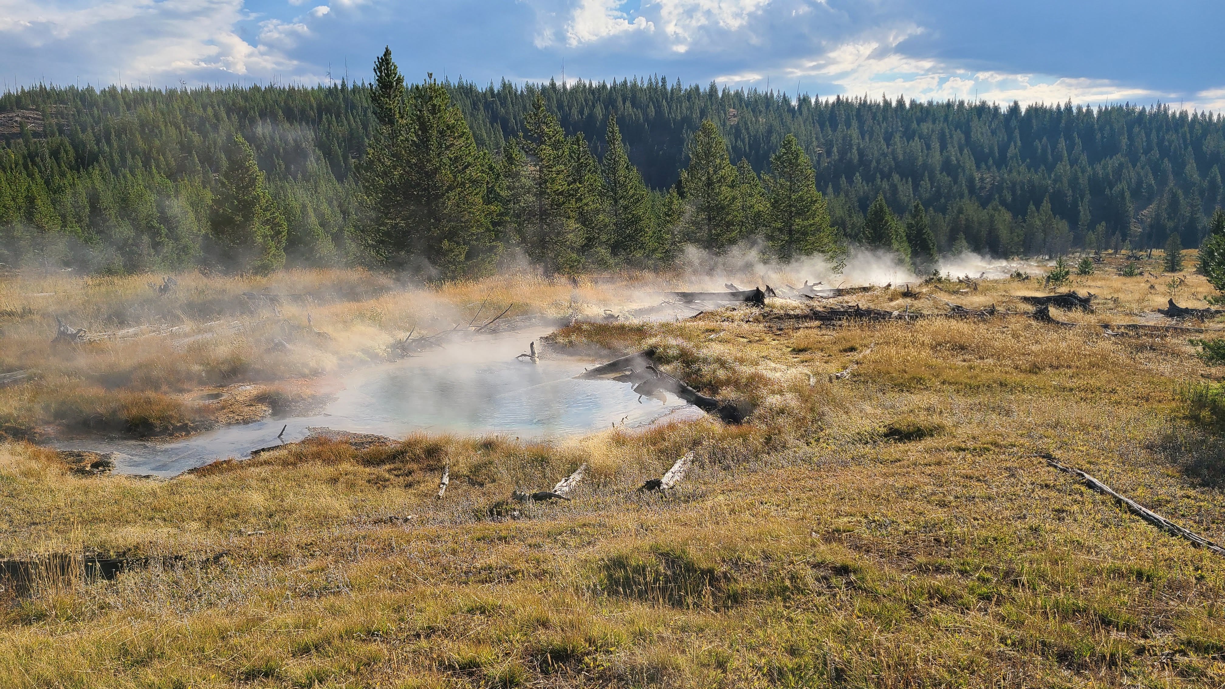The Thorofare -- Yellowstone National Park, September 2024 (part 12)
