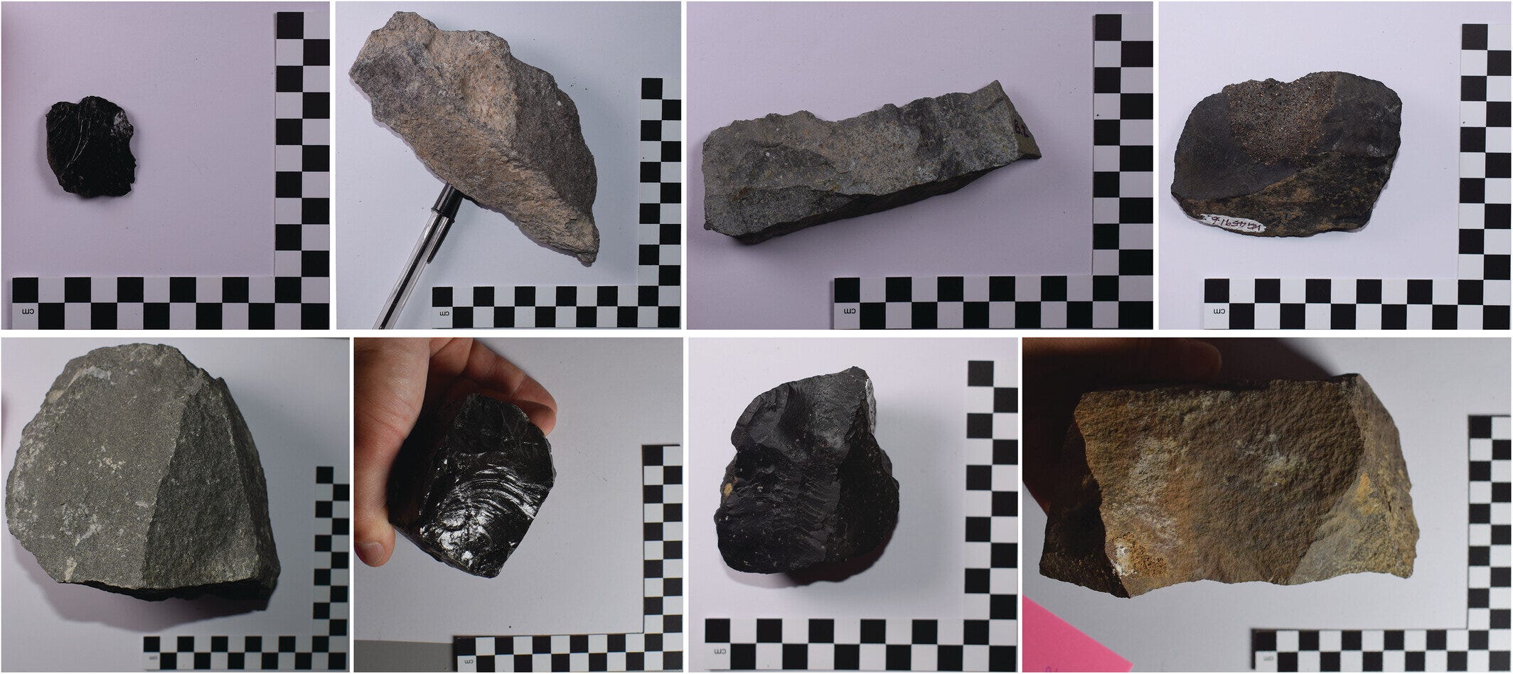 When Did Humans First Make Stone Tools? New Research Suggests They Didn ...