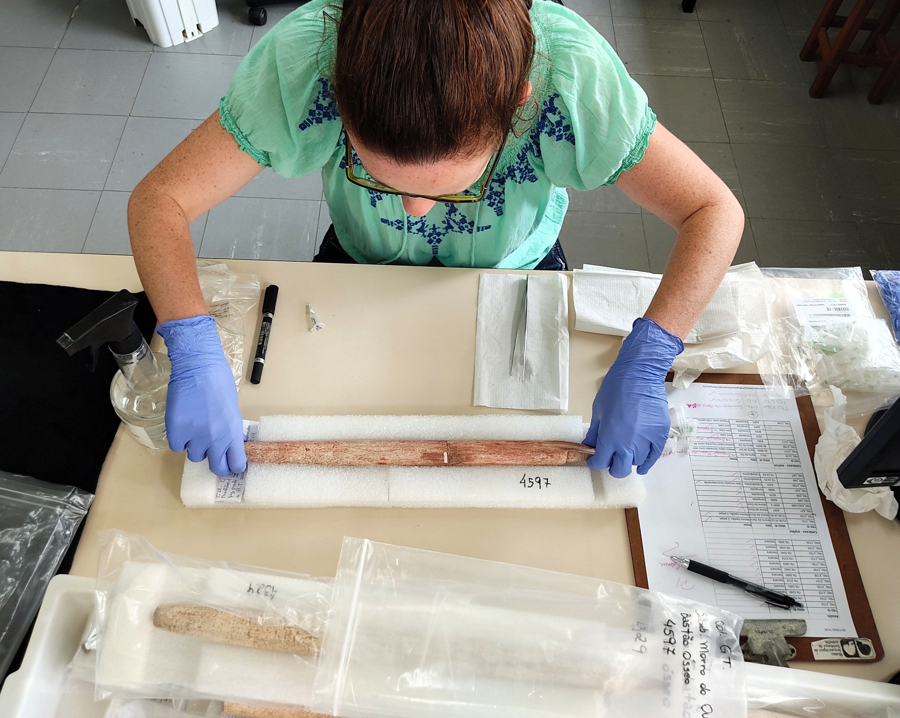 Harpoons Before History Remembered - Anthropology.net