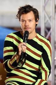 Harry Styles Turns 30 - Learn All His Fandom Nicknames