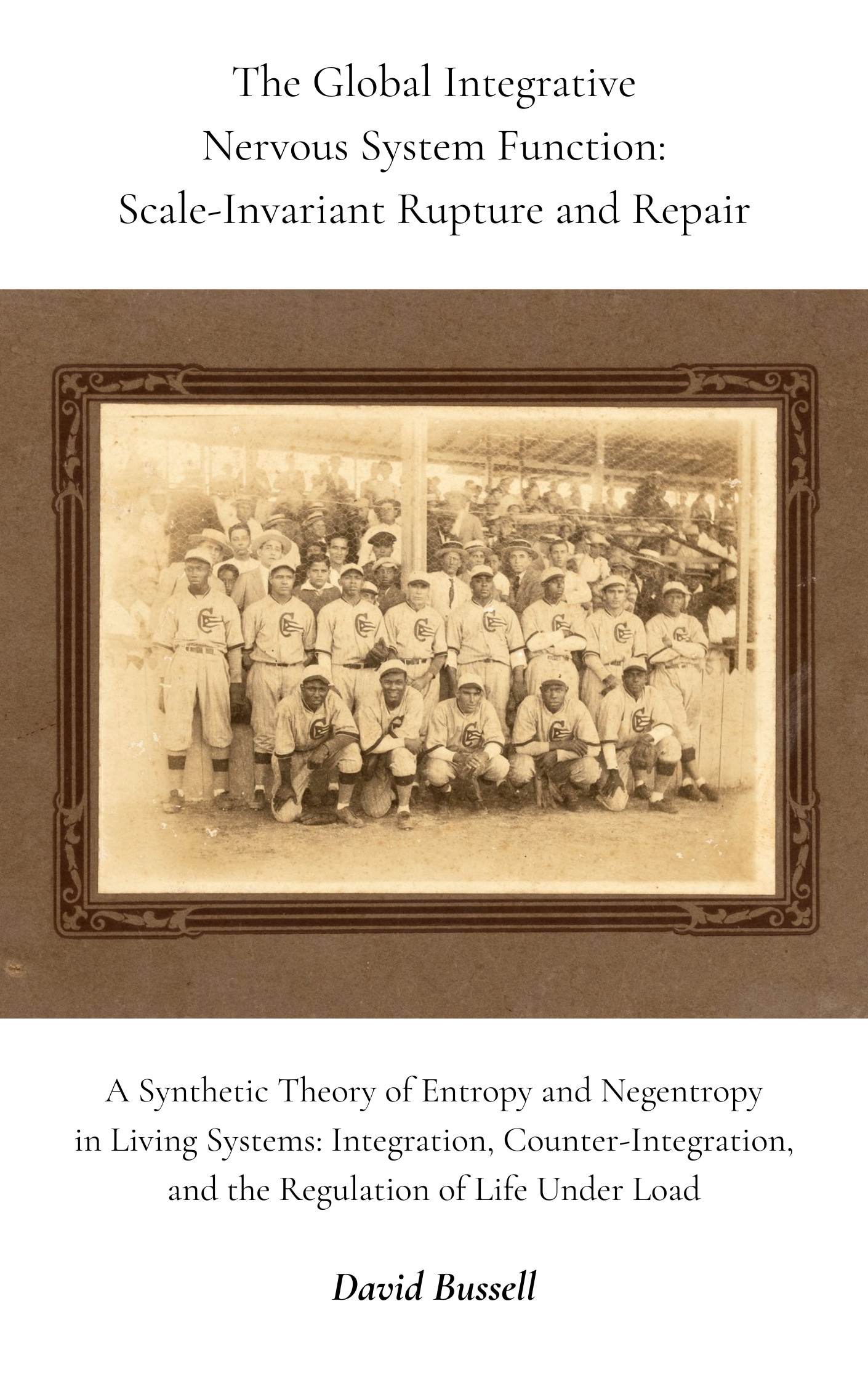 The Global Integrative Nervous System Function: Scale-Invariant Rupture ...