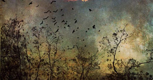 Lorna Bevan | Substack