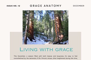 Grace Anatomy Pilates | Substack