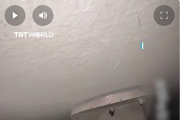 The Truth Barrier | Celia Farber | Substack