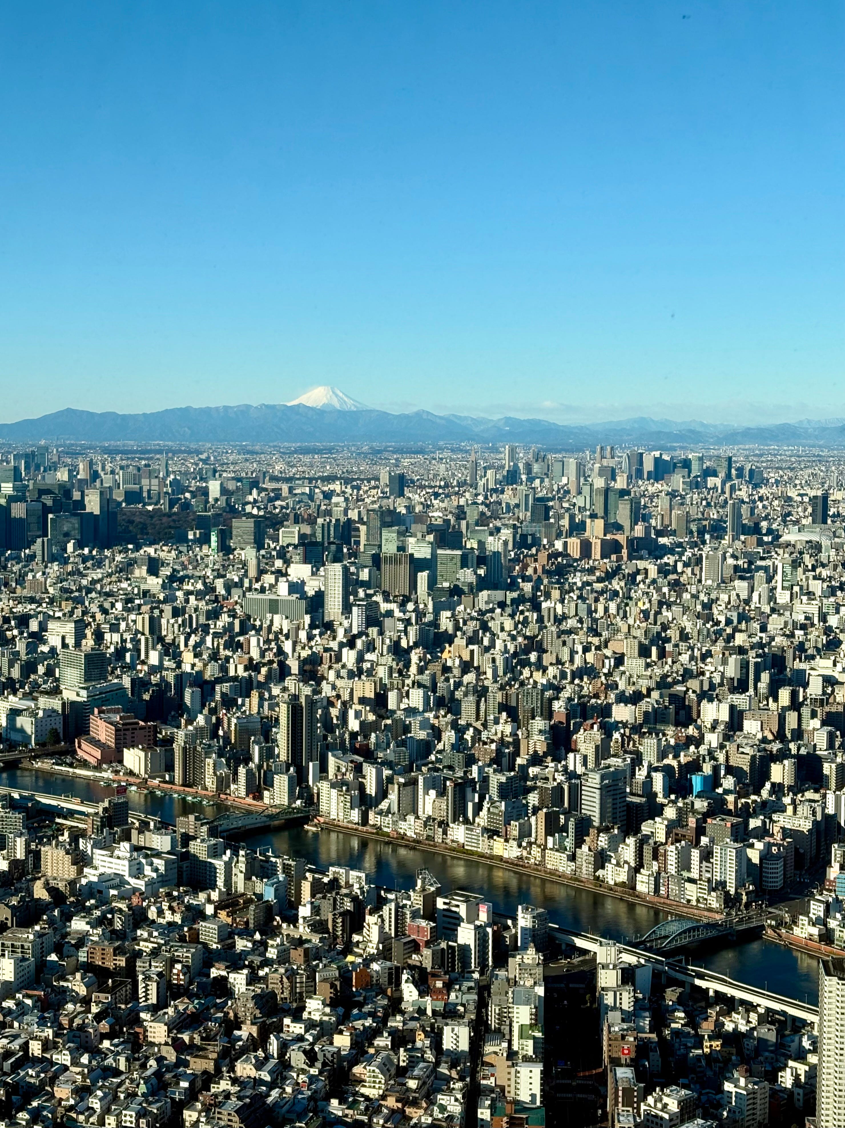 Absolutely Everything We Did in Japan - by Emily