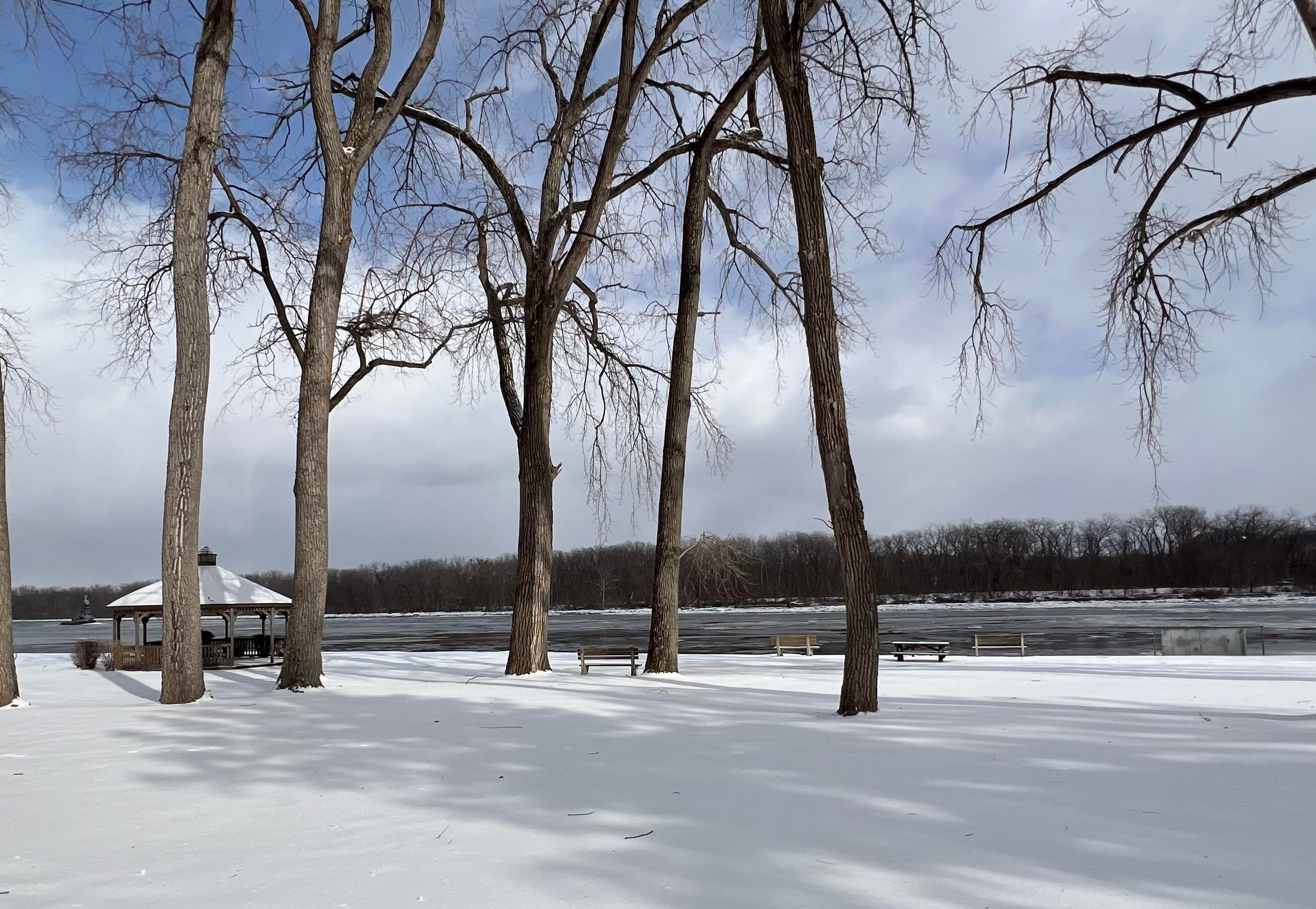 The Frozen Hudson - by Ron Dodson - The Nature of Things