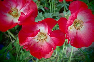 Mike Beram's Substack | Michael Beram | Substack