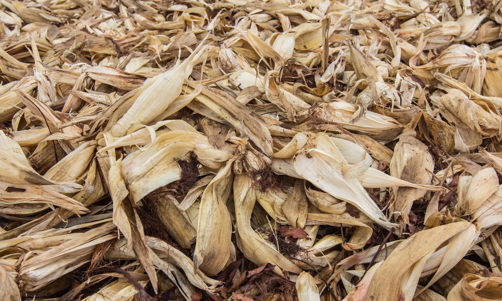 A Decaying Husk - by Jermaine Fowler - The Humanity Archive