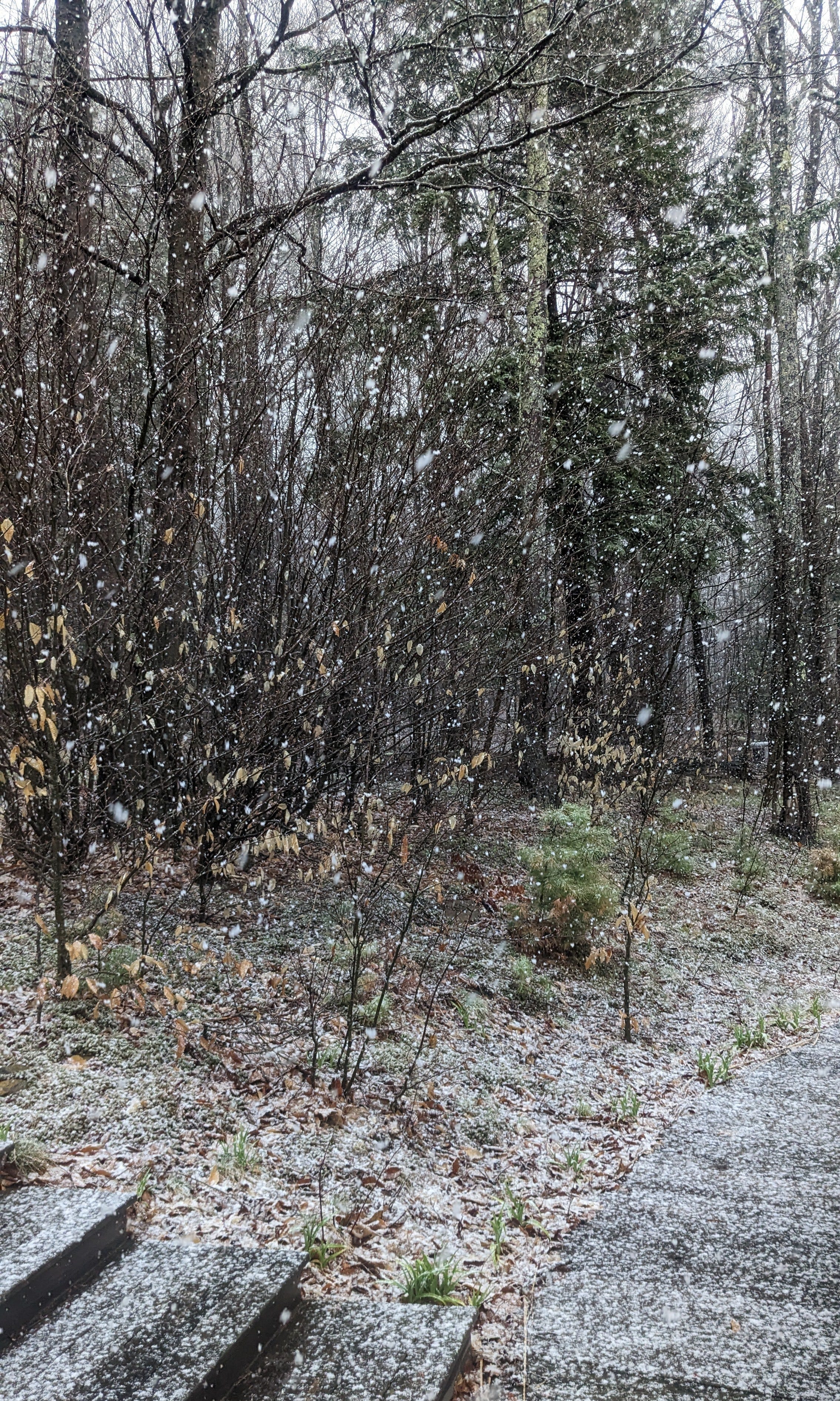 Abandoned Places And A Slow Undoing