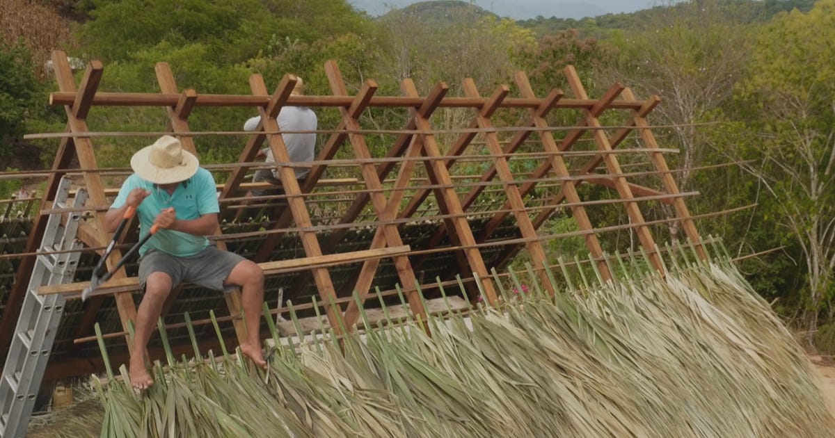 Off Grid Gardening: Building a Productive Homestead Garden