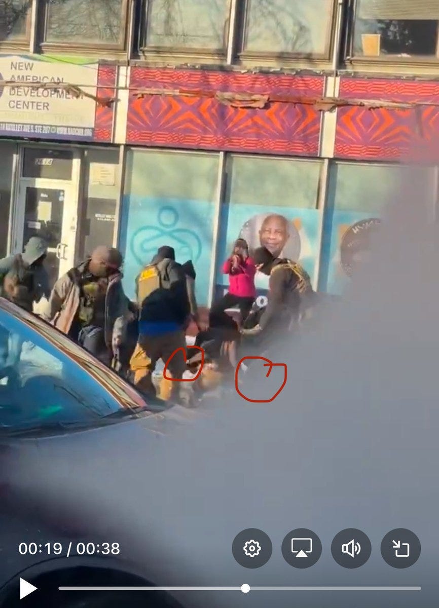 ICE thugs execute man in Minneapolis - by Robin Westenra