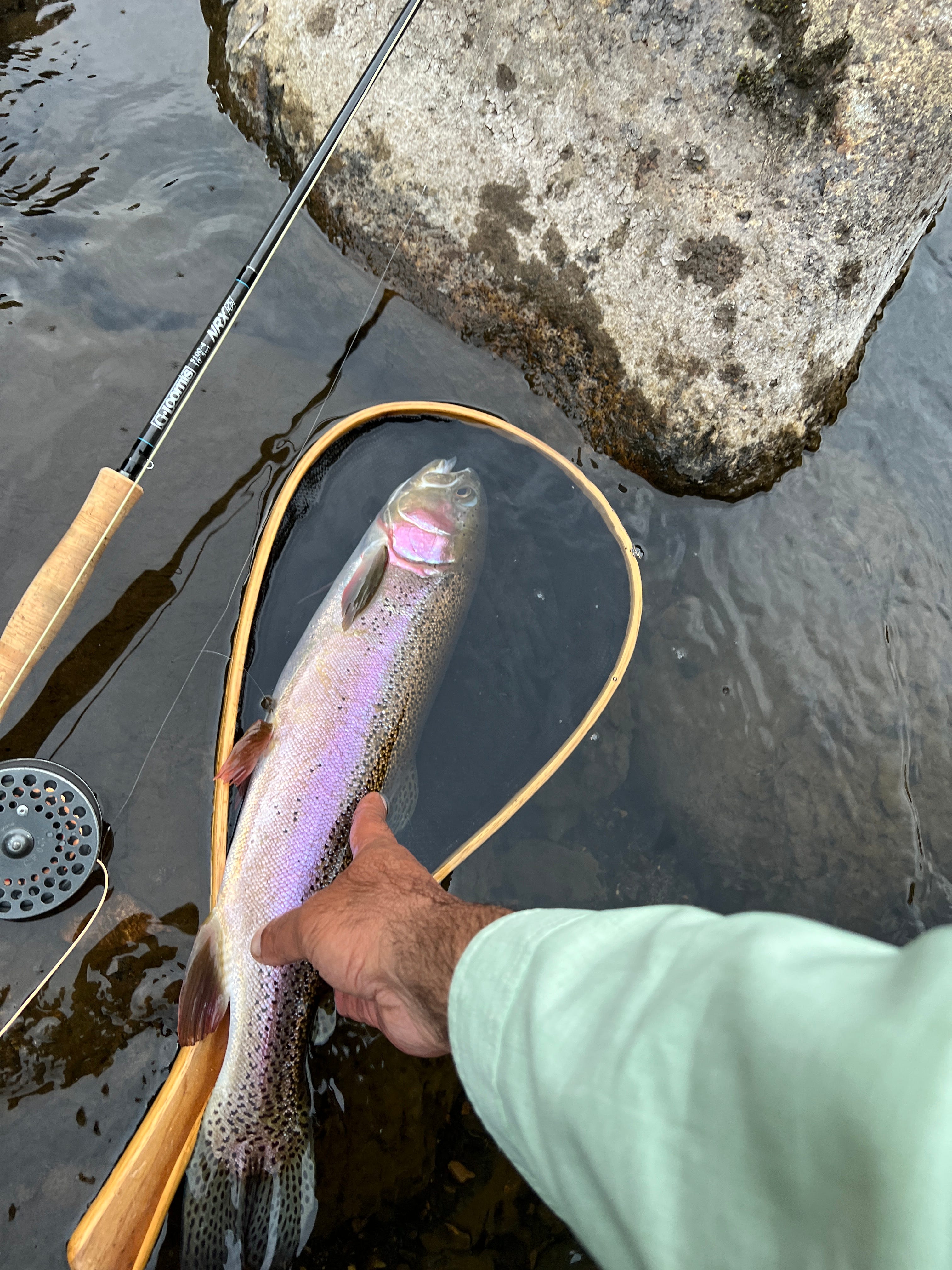 Fly Rods - by CosmicJohn - Box of Rain