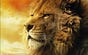 Leo’s Substack | Substack