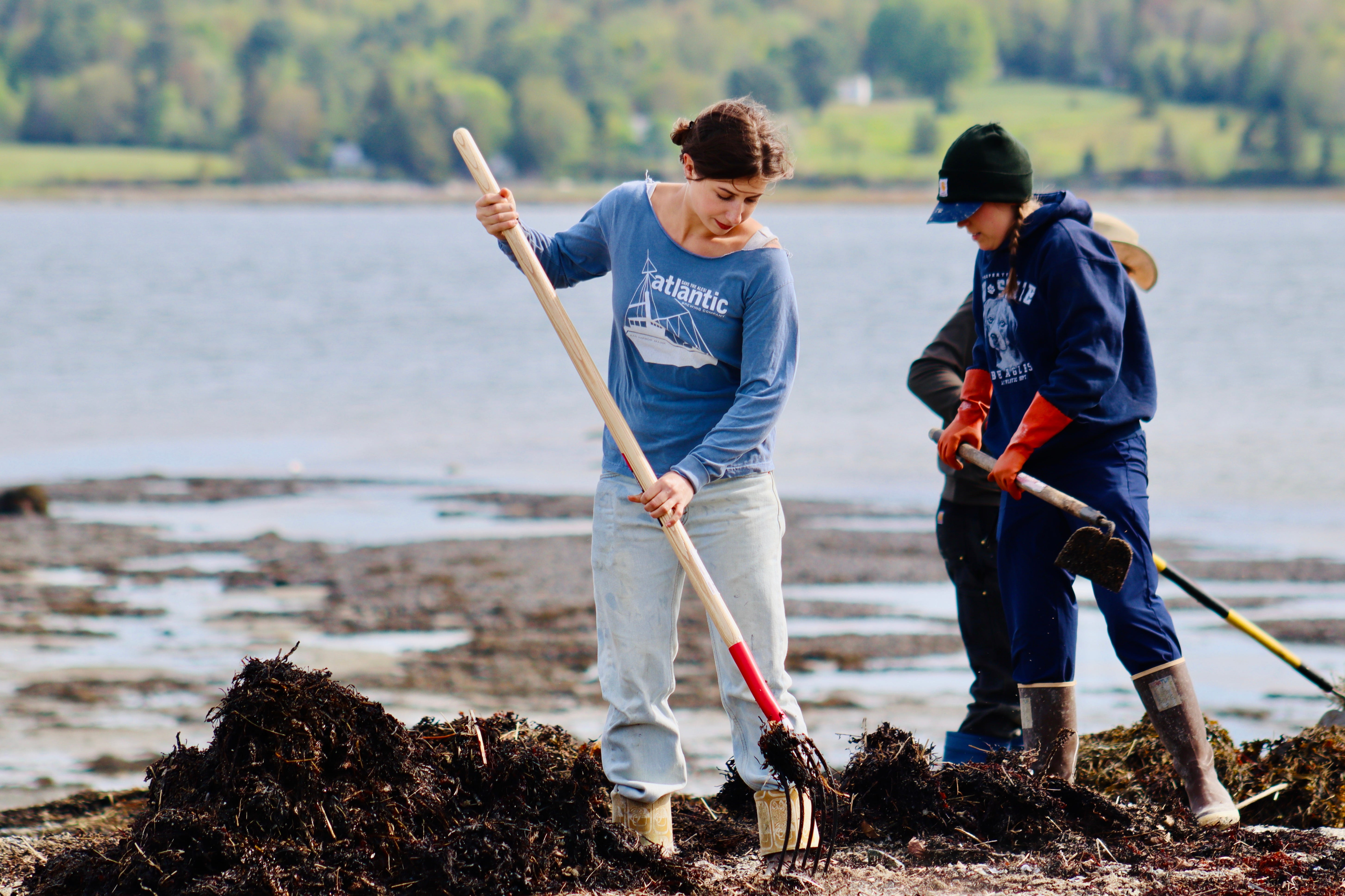 Bar Harbor Might Review Ordinance For Commercial Use of Hadley Point ...
