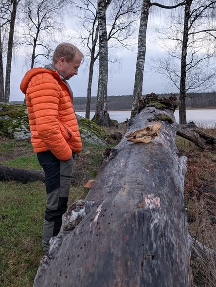 WHEN THE CALL FOR A SKULL ADOPTION COMES