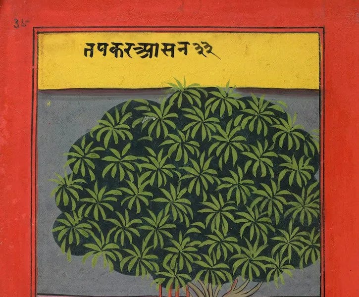 Hanging Upside-Down: Inversion Yoga in Vajrayāna