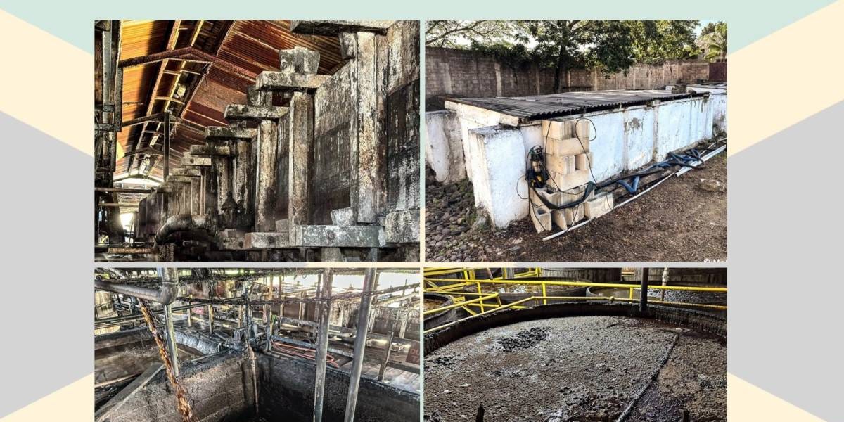 Dunder, Muck, and Acid - Demystifying Jamaica Rum's Secret Sauce