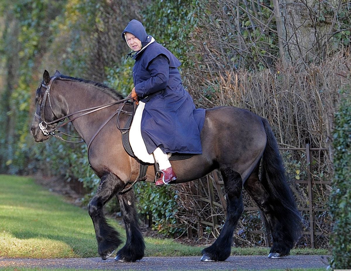 Investing Explained Like a Horse Race