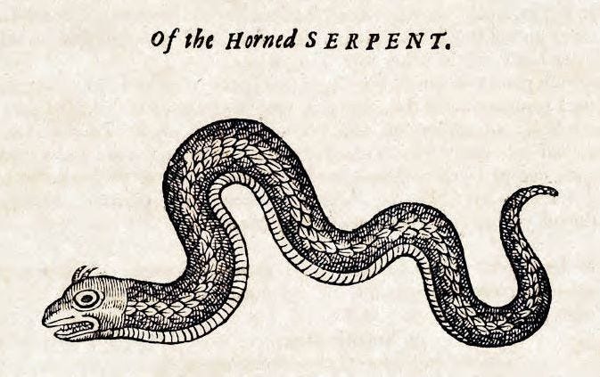 The Old Serpent Rises Again - by Raven Nightshade