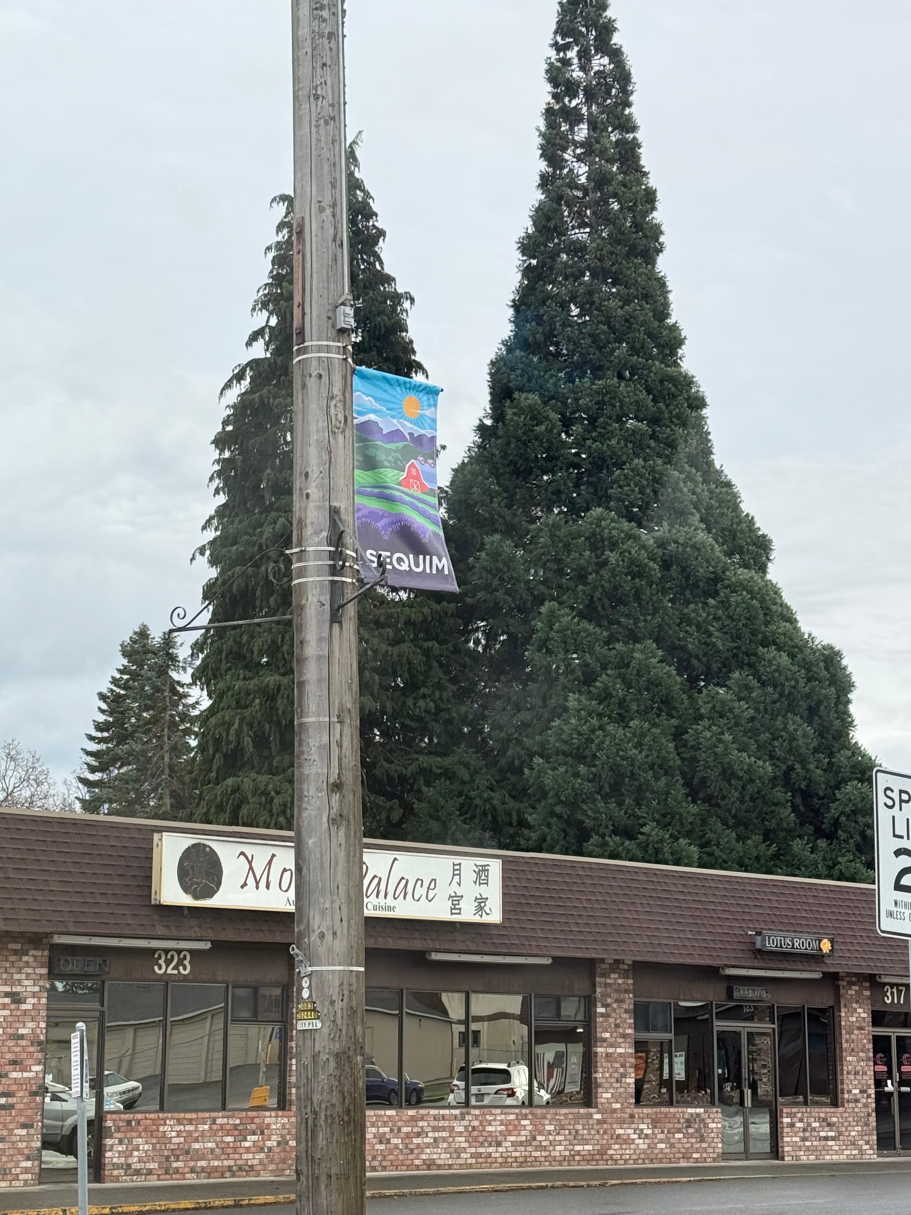 Connecting to Sequim - by Clallamity Jen
