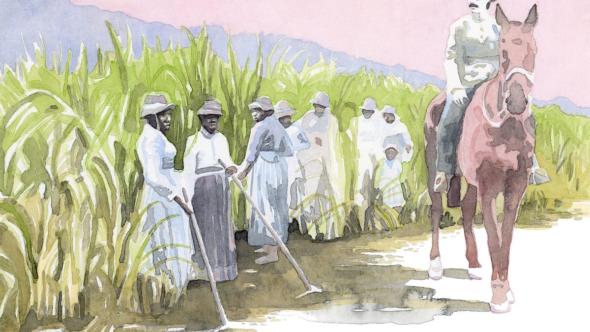 Blackbirding - by James Tylor and Matt Chun - UnMonumental