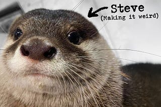 In Otter News | Substack