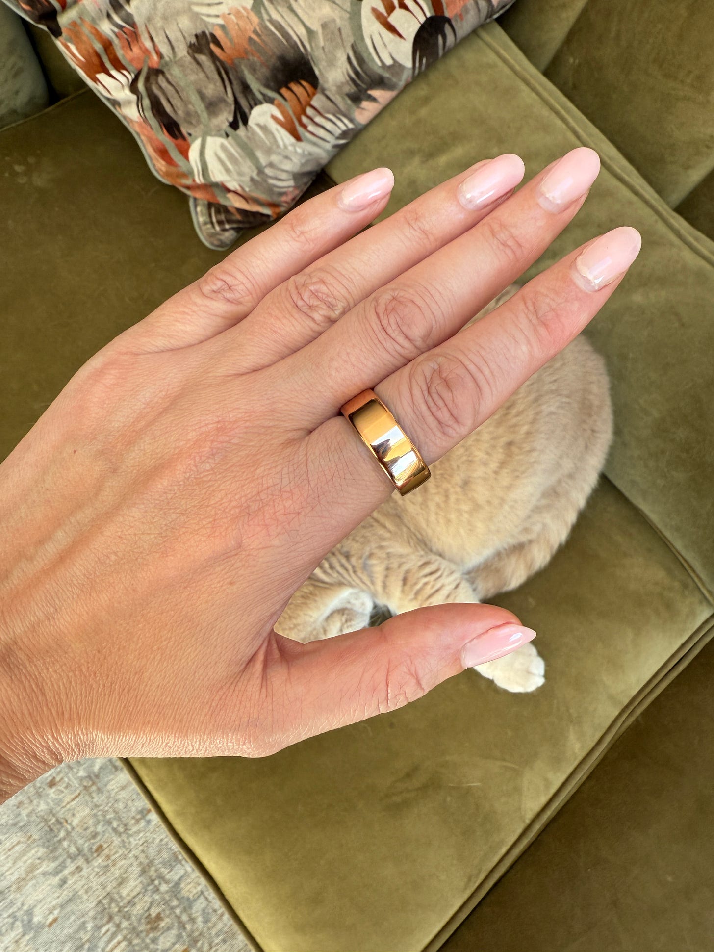 Oura Ring 4: Which Colour to Choose? - by Ruth Crilly