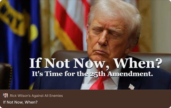 Rick Wilson (@therickwilson): "IF NOT NOW, WHEN? It’s time for the 25th ...