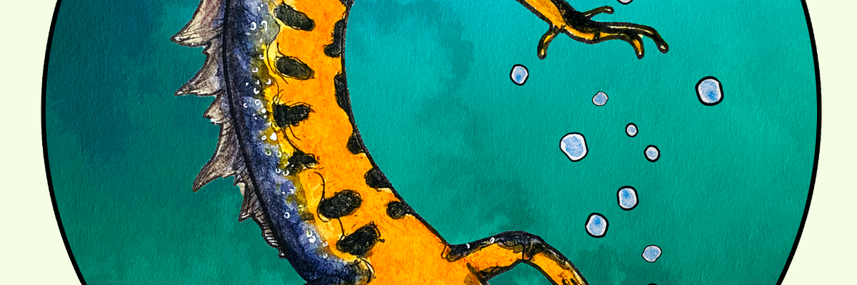 David Pagan Butler | Substack