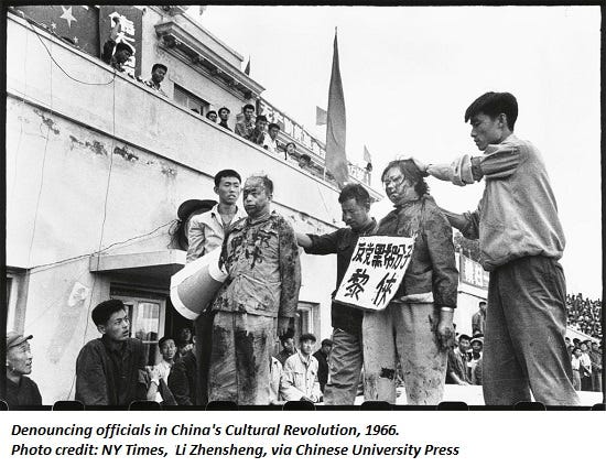 Lessons from China's Cultural Revolution