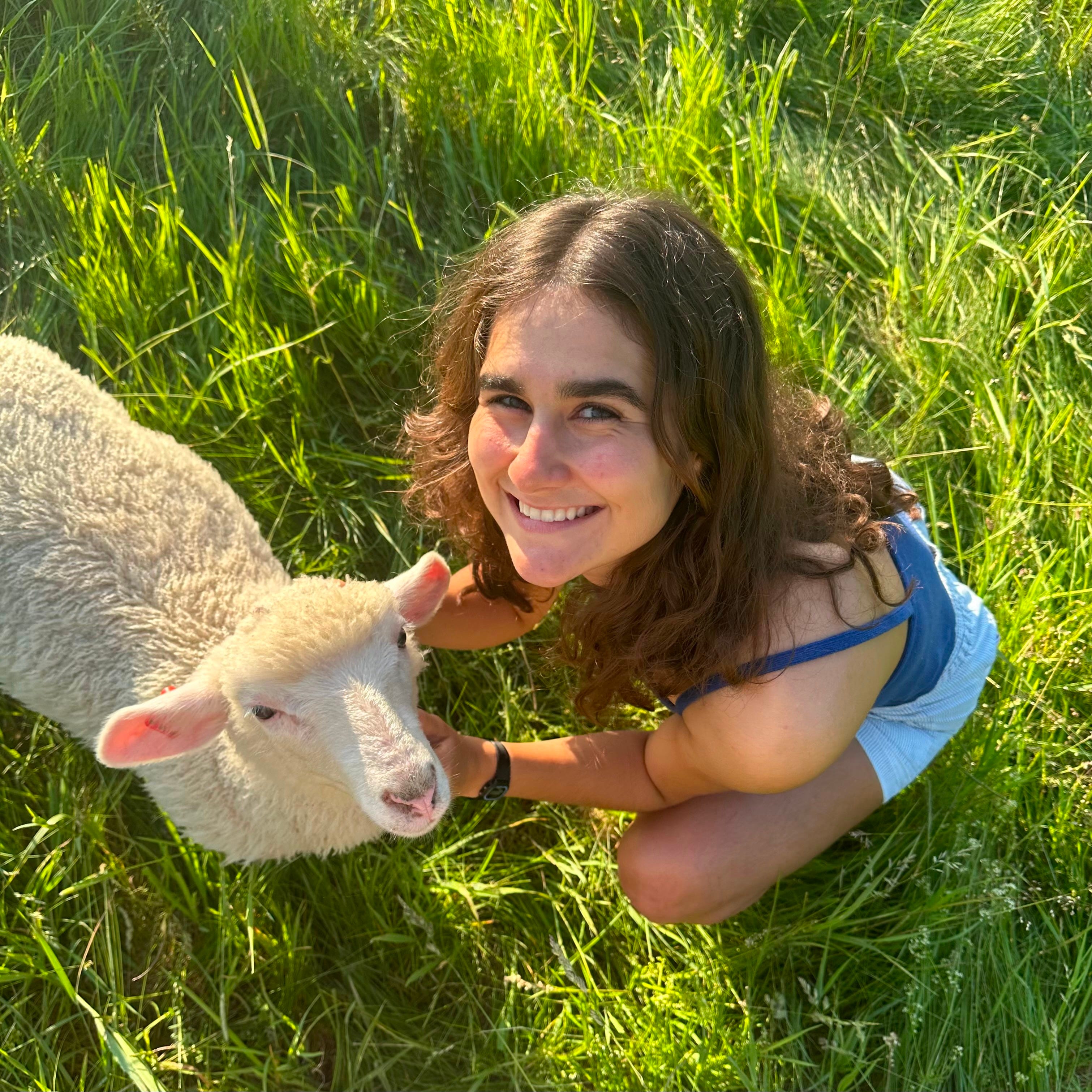 Isabel Tribe 🥝 | Substack