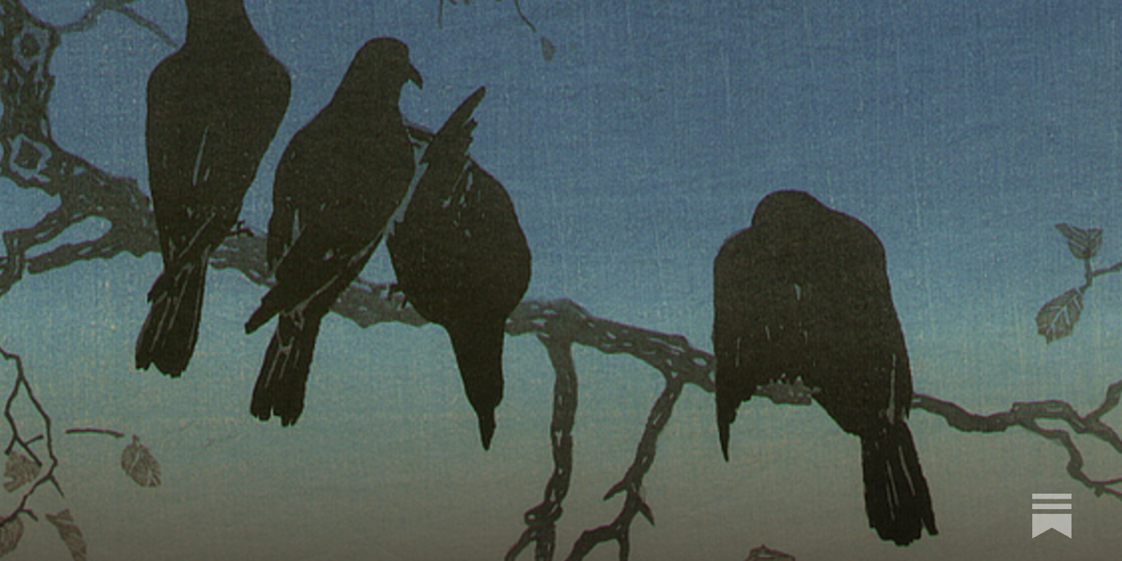 do crows represent evil