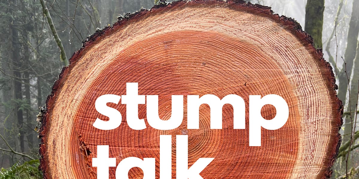 "The reality is harsh." - by Maja Viklands Harris