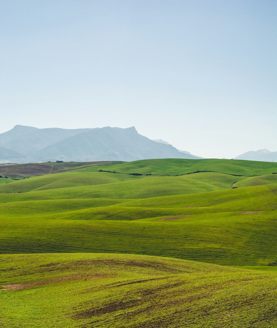 The word of the year is ... SPACE - by Joelle Tamraz