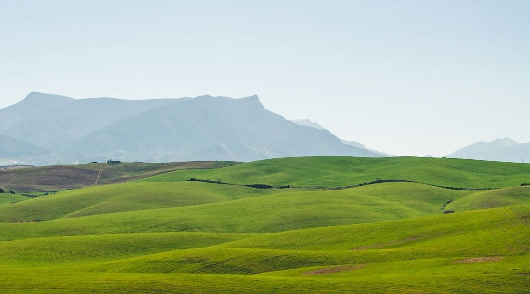 The word of the year is ... SPACE - by Joelle Tamraz