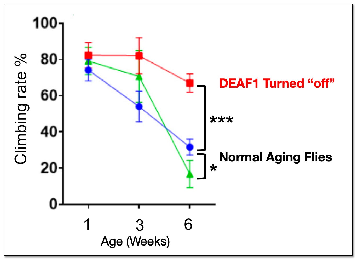 The Aging Muscle Paradox: How to Keep Quality Muscle with Age