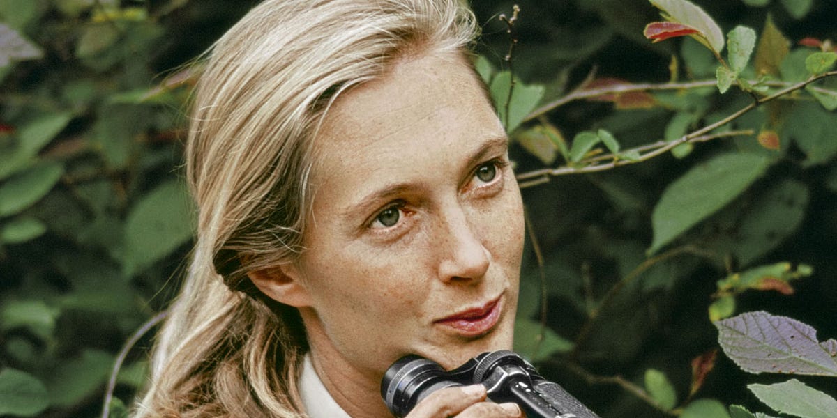 JANE!! - by E. Jean Carroll - Ask E. Jean