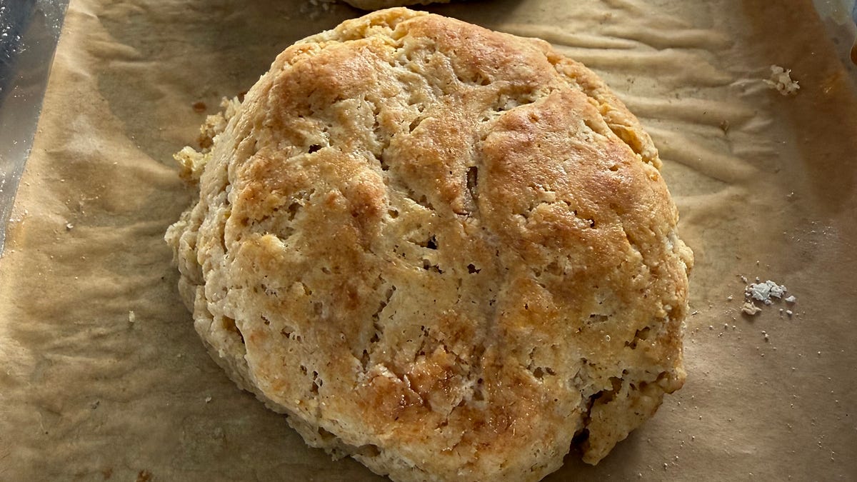 amanda mitchell biscuit