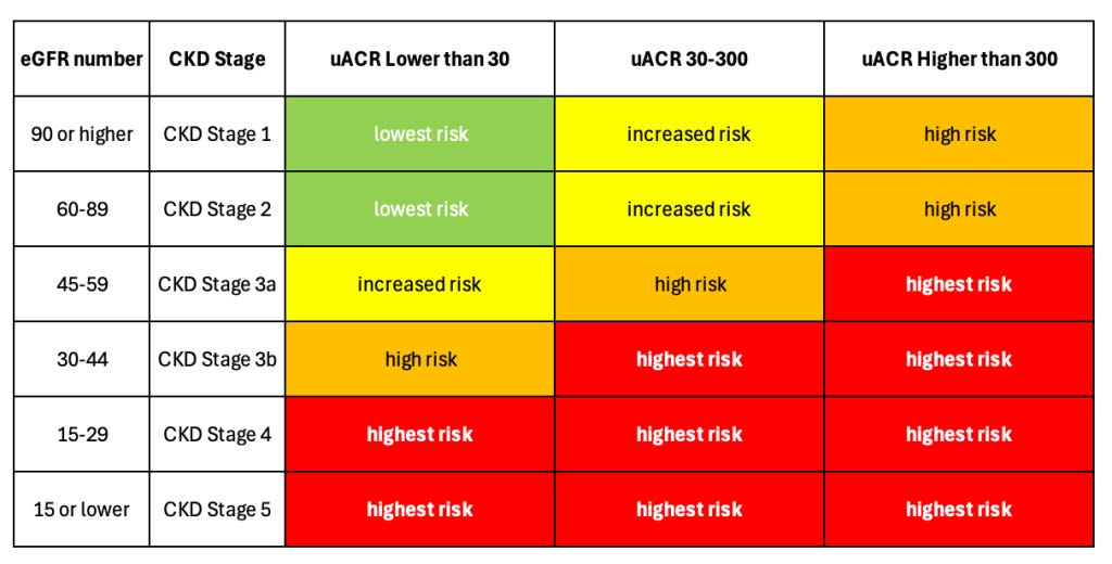Understanding eGFR: What It Really Means for Your Kidneys