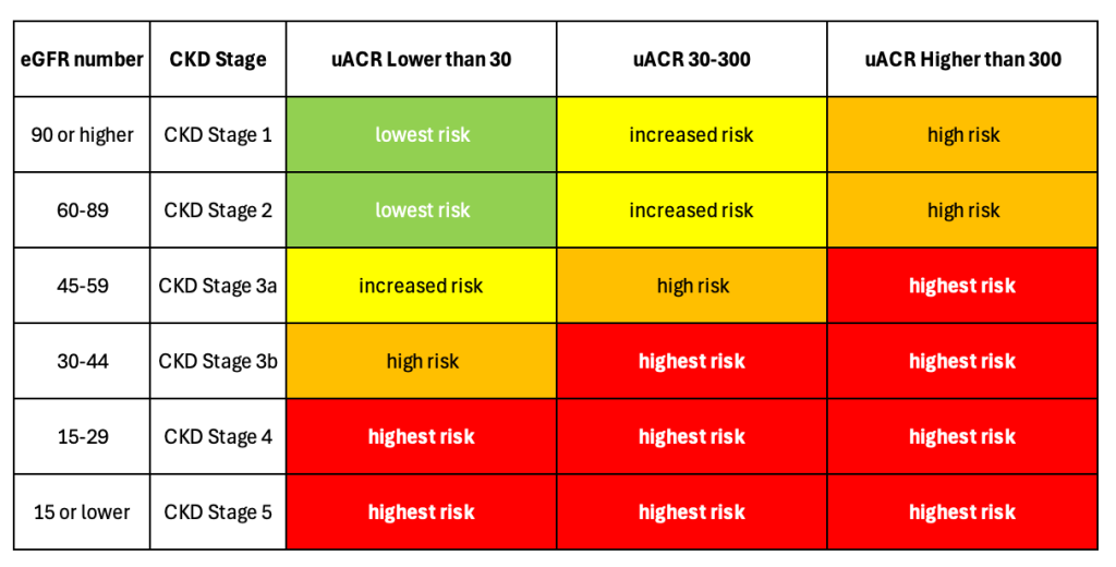 Understanding eGFR: What It Really Means for Your Kidneys