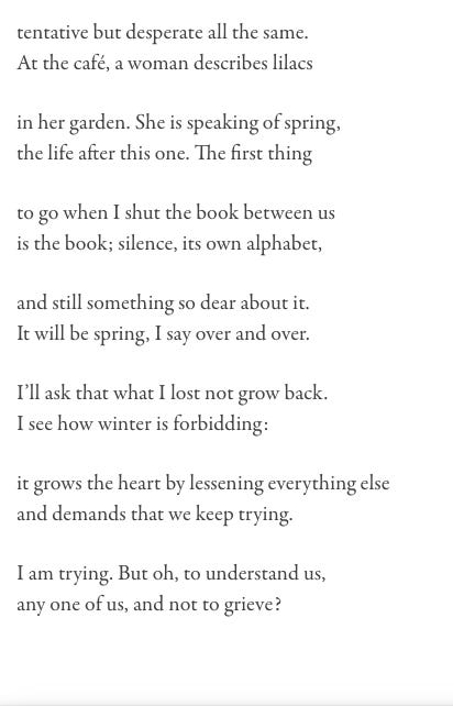 Poems for Your Weekend - Maya C. Popa
