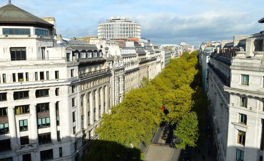 An Unpotted History of the London Plane Tree