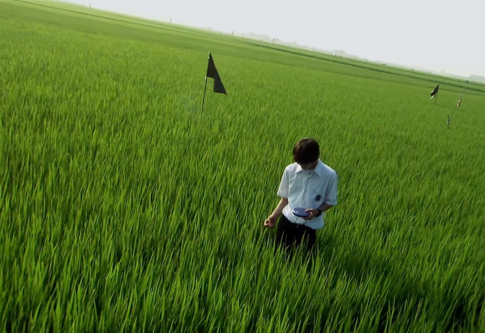 Real Japanese Aesthetics (@nostalgiajaponica): "Japanese Suburban ...