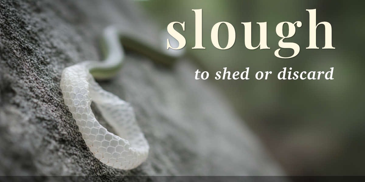 Slough — Meaning, Definition, & Examples for the SAT