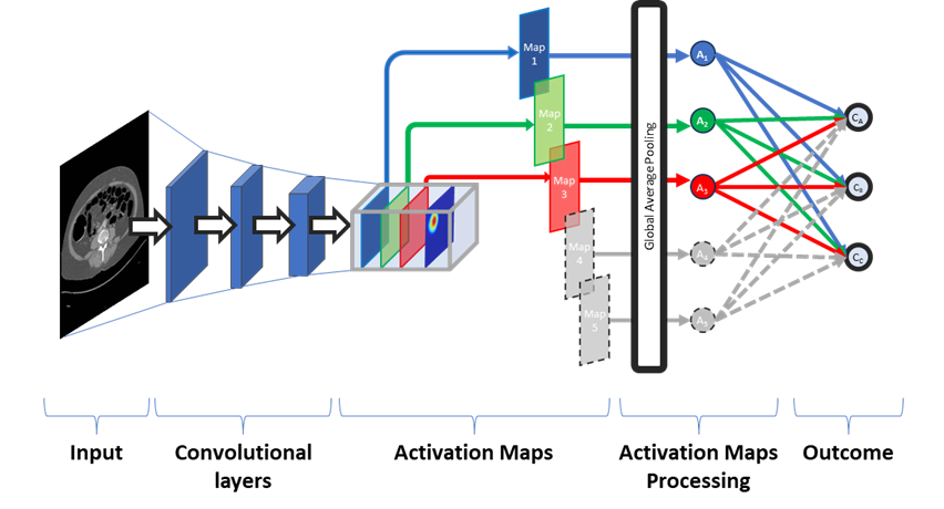 Explainable AI: Grad-CAM Step-By-Step - by ANTHONY DEMEUSY
