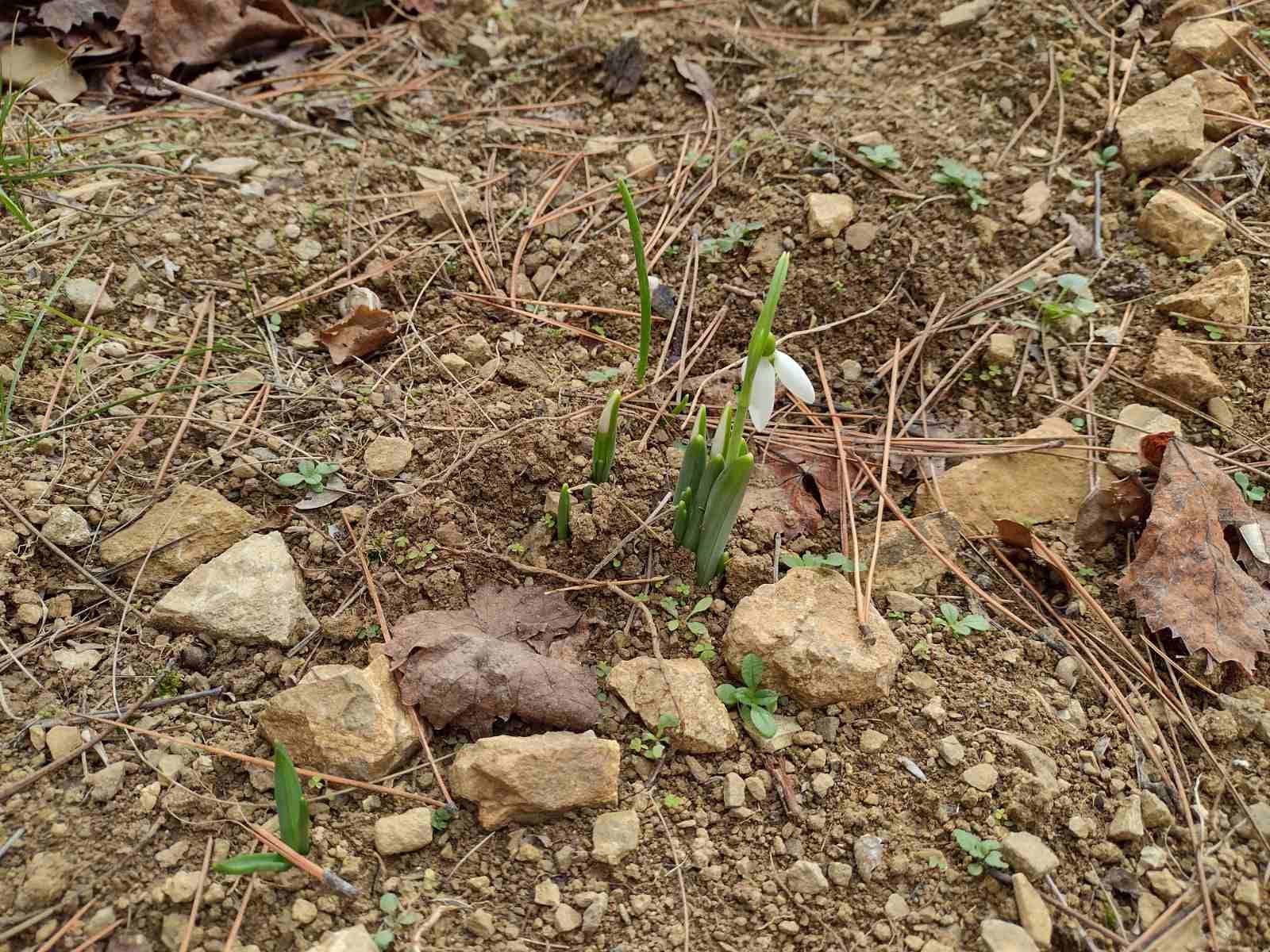 A month of name days - by Irina Slav - Slavs in the Garden