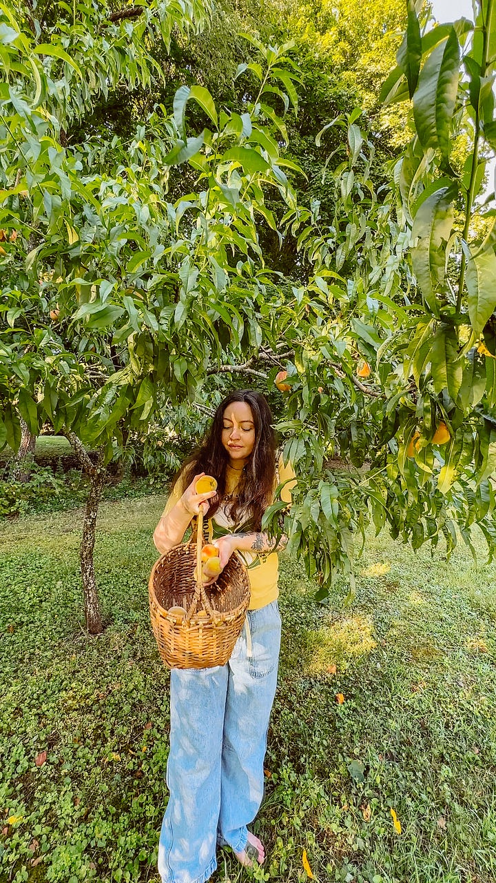 Winterizing Your Fruit Trees The Cottage Peach