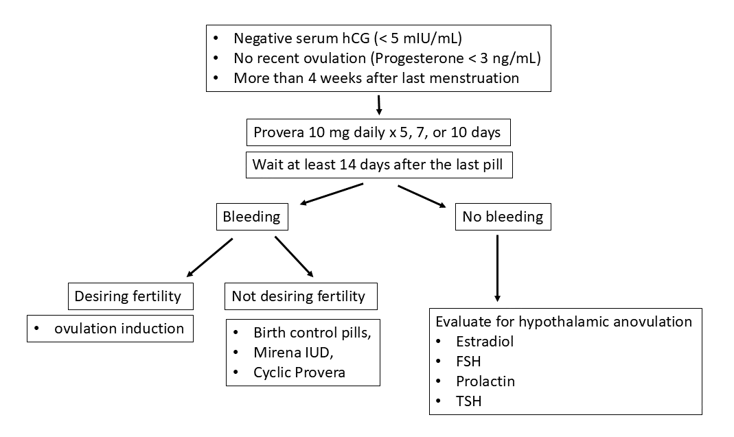 "Ms. Bell reports no bleeding 10 days after finishing Provera pills ...