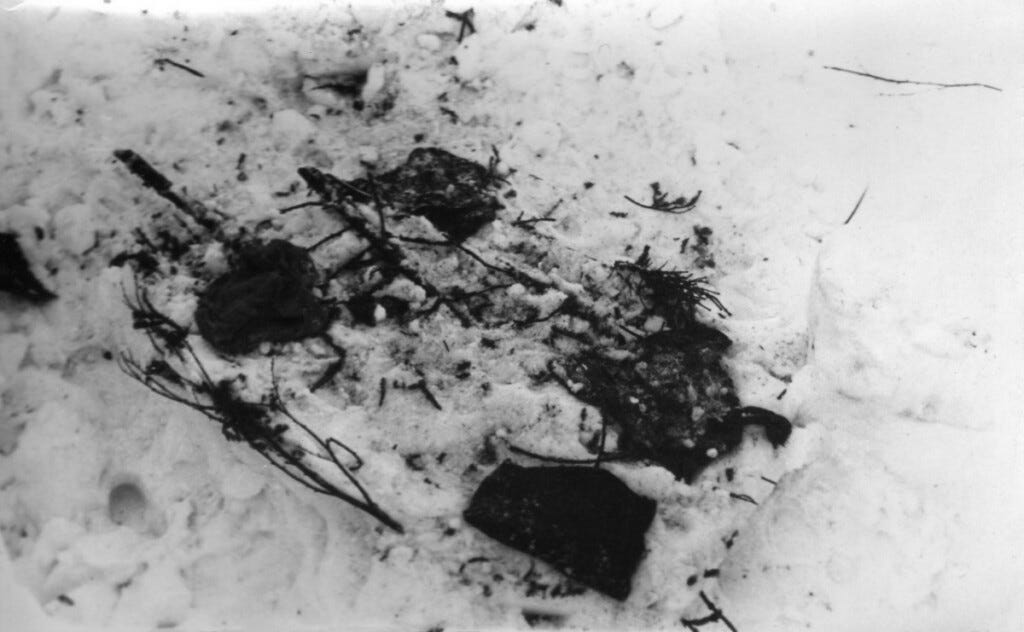 Slaughter in the Mountains: The Horrifying Tale of Dyatlov's Pass